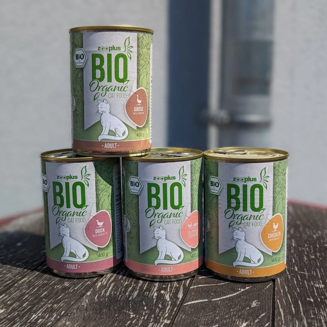 Katzenfutter Test 2025 – Die besten 30 Sorten im Vergleich