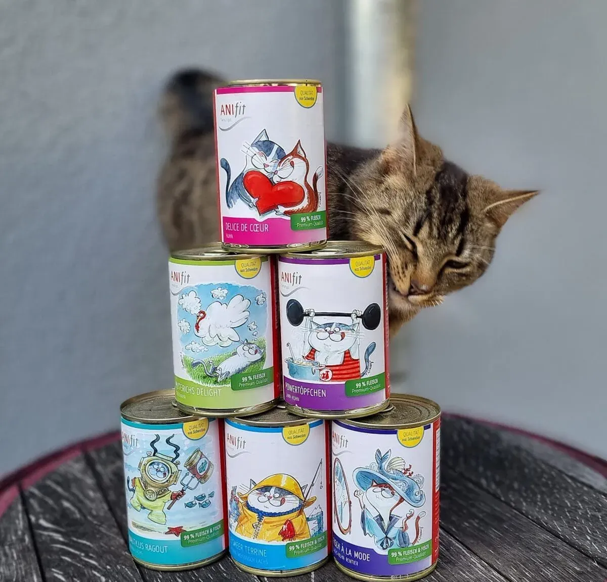 Katzenfutter Test 2025 – Die besten 30 Sorten im Vergleich